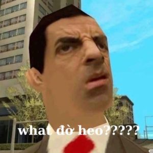What đờ heo nghĩa là gì? So sánh what the hell, what đờ fuck